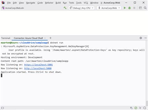 Cloud Shell Web Preview Debug Individual Azure Functions Explore Arm