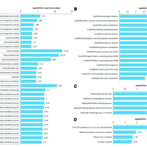 Enrichment Based Clustering Analysis Of Go Kegg Pathway Protein