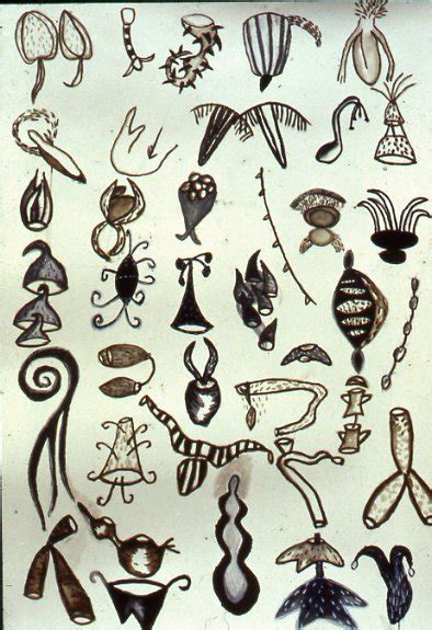 Alexandra Bowes Women And Their Work