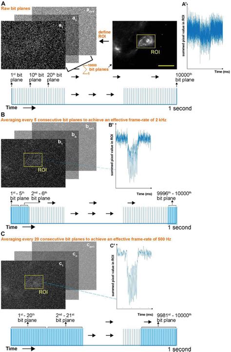 strategy for temporal binning of bit planes a to define rois 10 000