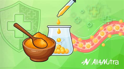 Encapsulation Of Curcumin Through Spherification A Novel Nutraceutical