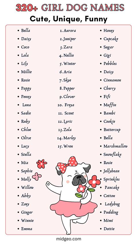 320 Cute Unique Funny Girl Dog Names Artofit