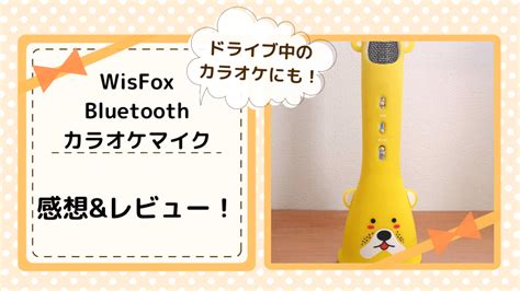 WisFoxのBluetoothカラオケマイク感想レビュー歌うだけじゃなくスピーカーとしても優秀 こども喜ぶろぐ