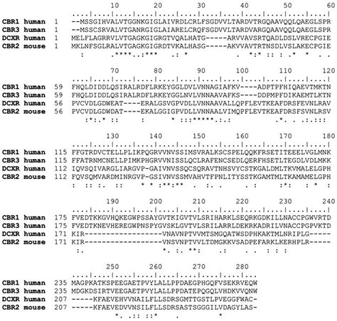 Multiple Sequence Alignments Of Some Carbonyl Reducing Enzymes From The