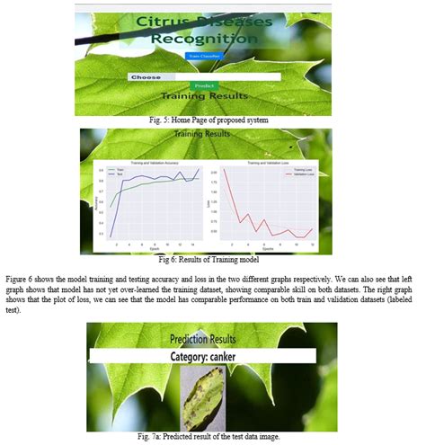 Automatic Detection Of Citrus Fruit And Leaves Diseases Using Deep Neural Network
