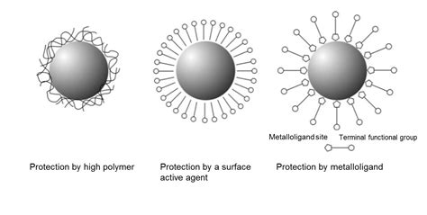 Conjugation Of Proteins To Silver Nanoparticles Stratech