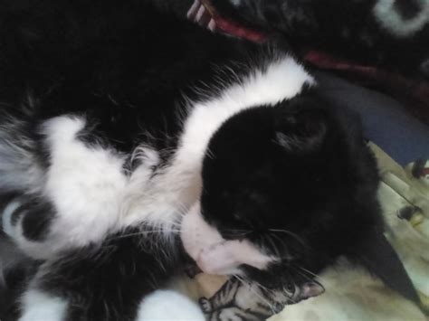 Her Name Was Momo Scrolller