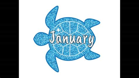 Birthday Board Display Sea Turtle Theme By Better At The Beach Tpt