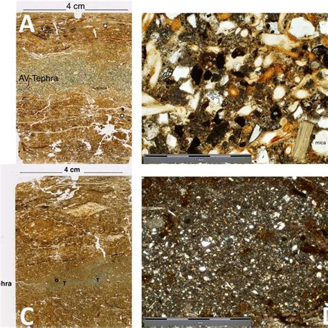 Definitions Of The Five Types Of Juvenile And Composite Pyroclasts Download Table