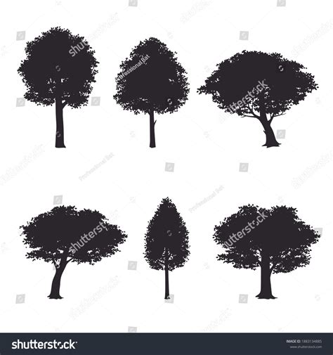 Sillhouette Tree Images Stock Photos Vectors Shutterstock
