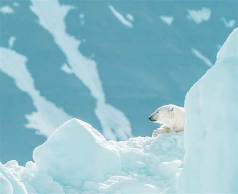 점점 빨리 녹는 북극 바다 얼음