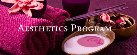 Aesthetics Program Pina B Academy Of Aesthetics