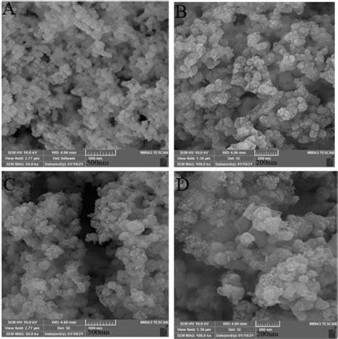 SEM Images Of Fe3O4 SiO2 Nanocomposite A B Before And C D After Download Scientific Diagram