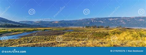 Rio Lamar No Vale De Lamar No Parque Nacional De Yellowstone Foto De