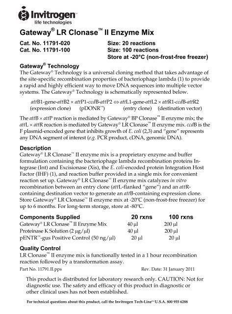 Gateway Lr Clonase Ii Enzyme Mix Igem 2012