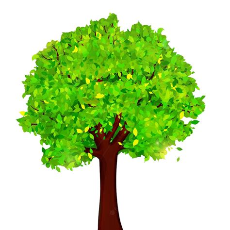 Premium Vector Green Tree With Leaves On White Background Vector