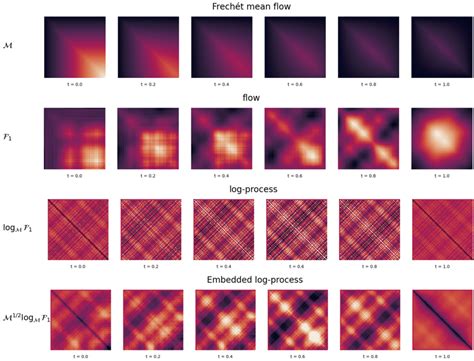 From Top To Bottom The Latent Template Obtained By Mccanns Download Scientific Diagram