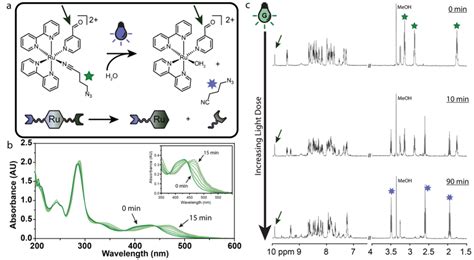 纳米人 Jacs：生物发光共振能量转移 Bret 可介导自发光的光响应性生物材料实现蛋白质释放