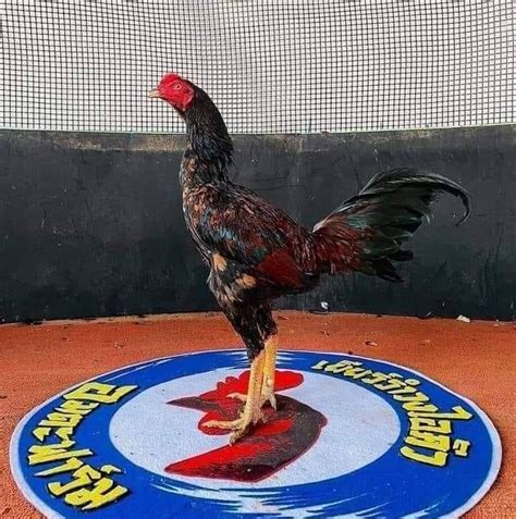 ស៊ុម ខ្មែរអមតៈ