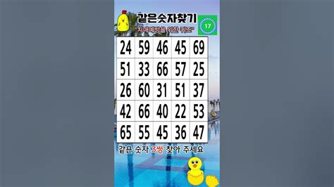 치매예방 같은숫자찾기 65 5 숫자찾기퀴즈 치매예방 기억력강화 치매예방퀴즈 Youtube