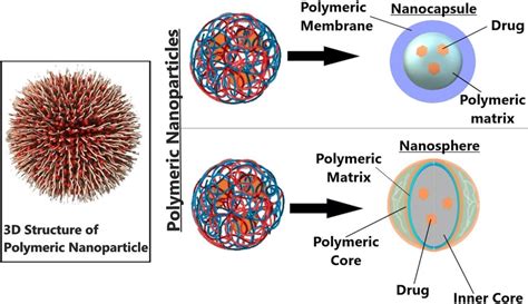 The 2 Types Of Polymeric Nanocarriers—nanosphere And Nanocapsule—are