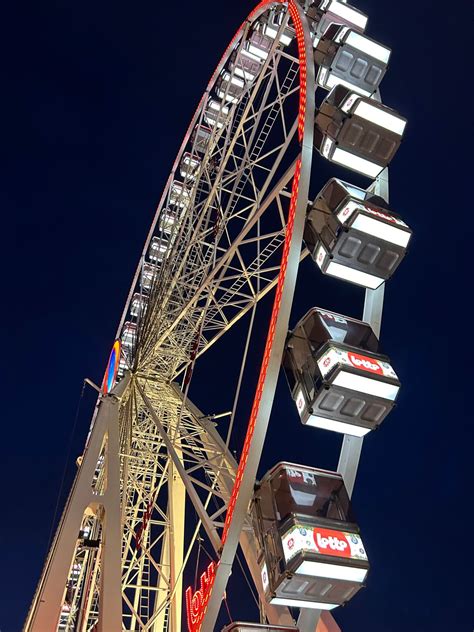 Dr Alexandra David On Linkedin Deskilling Brain Careermanagement Economic Regional