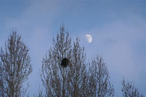 White Center Now The Blog About White Center Archive White Center