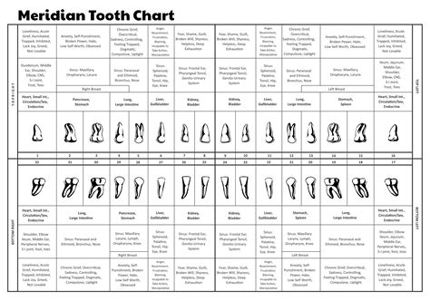 Printable Tooth Surface Chart Printable Word Searches