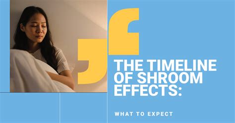 Internal Vs External Validity Why Both Matter In Research