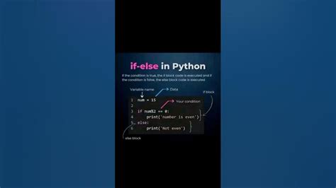 Coding Promgubs Coding Programming Developer Youtube