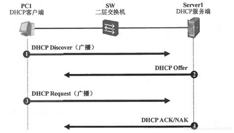 Dhcp Snooping简述 Csdn博客