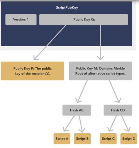 Taproot On Bitcoin Contractless Contract Mast Coingeek