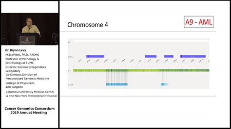 Cgc 2019 Series Archives Bionanogenomics