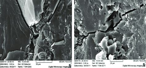 Sem Image Of Microstructure Of The Vicinity Of Macrocrack Within