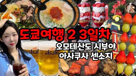 박 일 도쿄여행 Tokyo 東京 이치란 오모테산도 랄프스커피 시부야 호루이치 아사쿠사 신파치 센소지 인력거 크레페 야키니쿠모토야마 YouTube