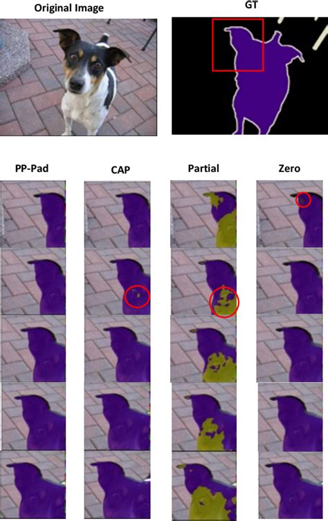 Improving Translation Invariance In Convolutional Neural Networks With Peripheral Prediction Padding