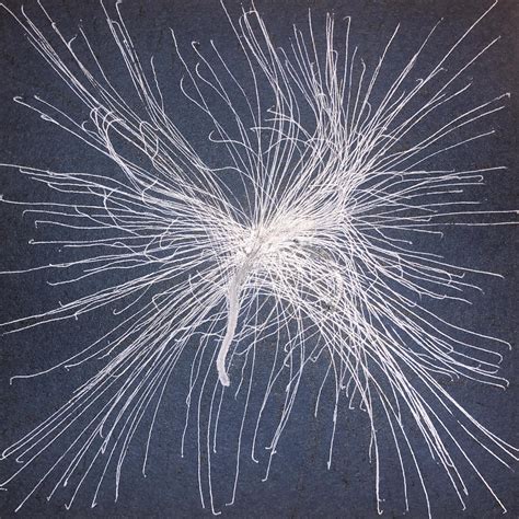 Traces Of Flocking Boids Scrolller