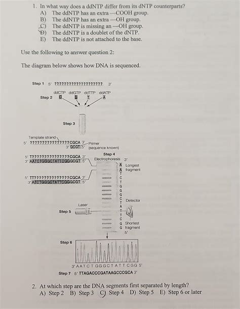 Solved 1 In What Way Does A Ddntp Differ From Its Dntp