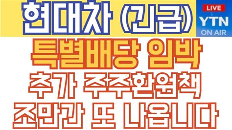 현대차 기아 주가전망 긴급 특별배당 임박 추가 주주환원책 조만간 또 나옵니다 Youtube