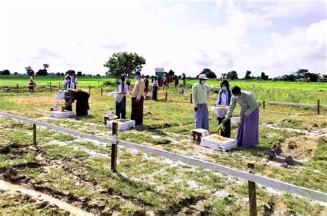 ပွင့်ဖြူမြို့နယ် ကုလားဟောင်းကျေးရွာတွင် အလျားပေ ၁၂၀ ၊ အနံပေ ၃၀ ကျောင