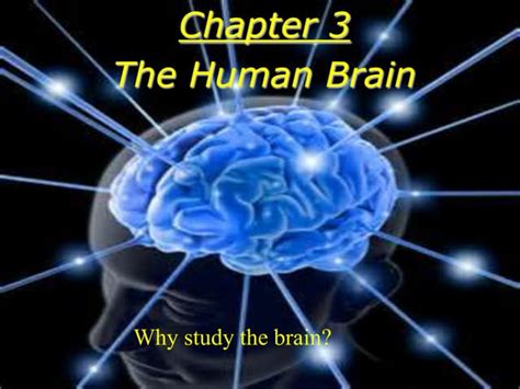 Psyc 2301 chapter three powerpoint(2) | PPT