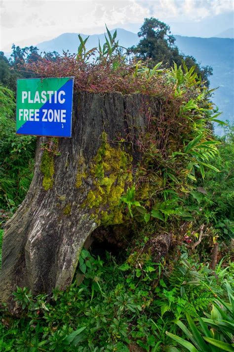 Protect Our Forest Make Our Surrounding Plastic Free Stock Image