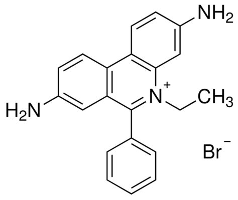 Ethidium Bromide Solution