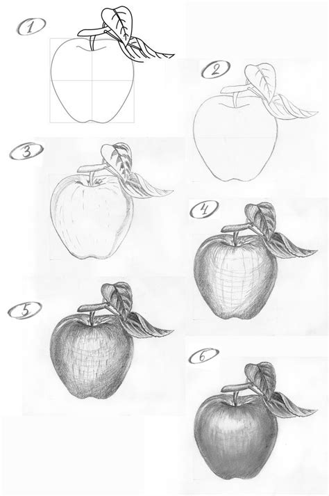 Cartoon Apple Drawing Step By Step At Madeleine Frayne Blog