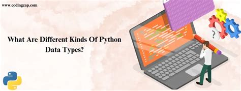 What Are Different Kinds Of Python Data Types Codingzap