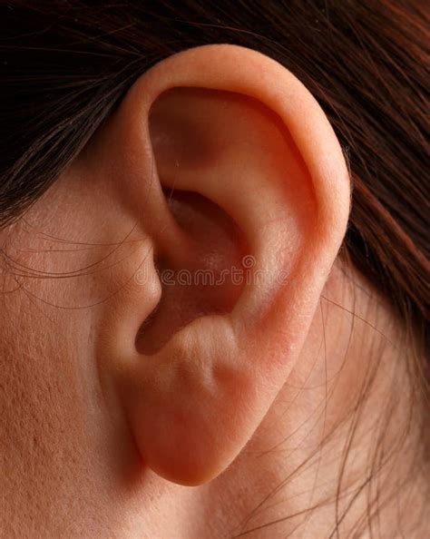 A Womanand X27 S Ear Is Shown In Detail With The Ear Lobe And The Ear