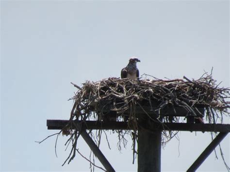 Mooloolaba Canal Cruise 2020 All You Need To Know Before You Go With