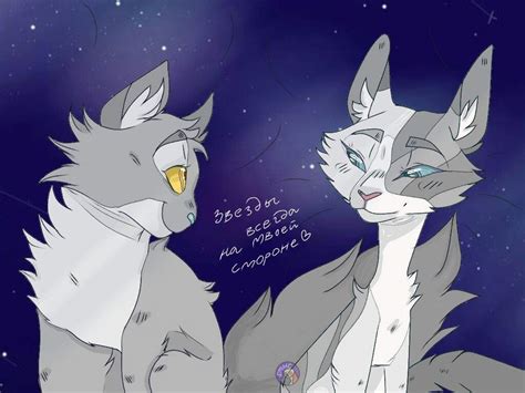 Ivypool Wallpapers Wallpaper Cave