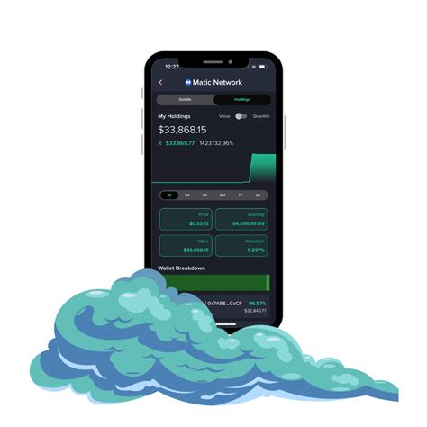 Track Monitor Polygon Wallets AssetDash