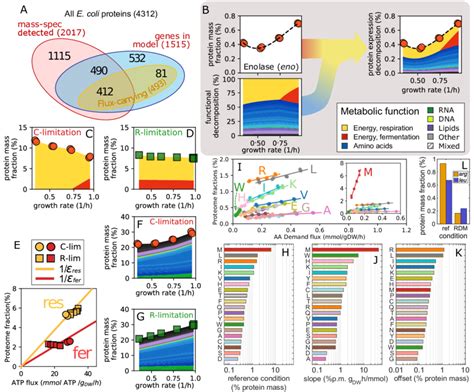 Cellular Allocation Of Metabolic Proteins Across Conditions See